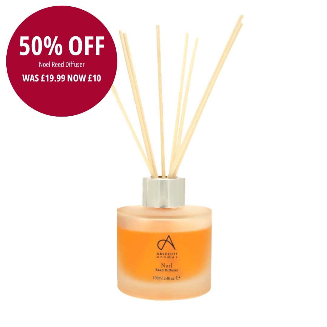 Noel Reed Diffuser |Noel Reed Diffuser - Absolute Aromas